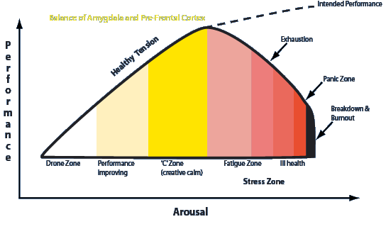 Wise online – Week 7 | Engage Health